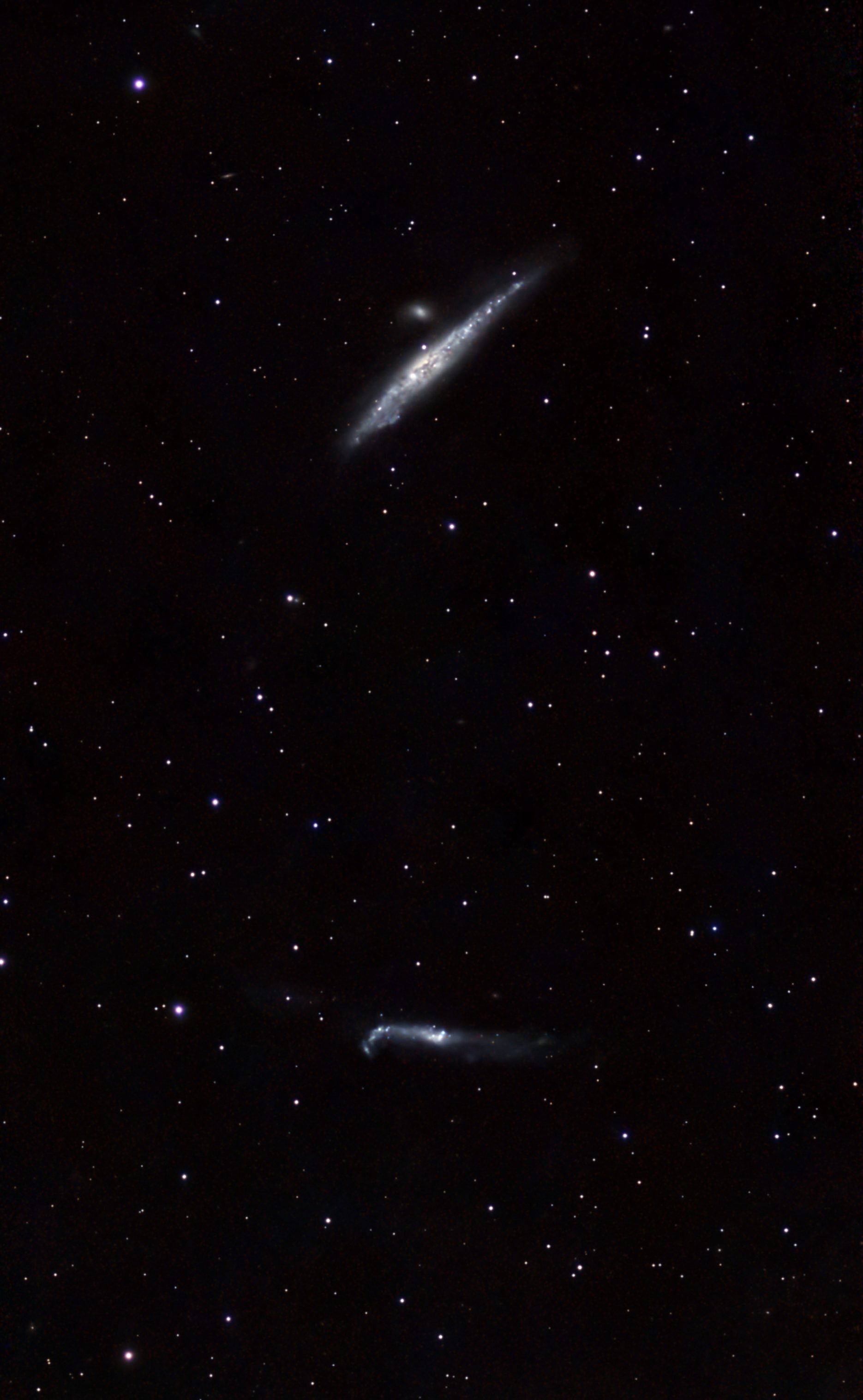 Walgalaxie (Whale Galaxy, NGC 4631, NGC 4656)
